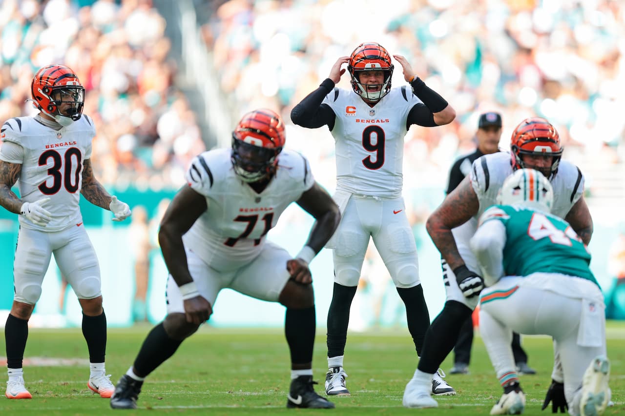 Squirrel Patrol’s Week 17 NFL DFS Picks & Cheat Sheet (DraftKings ...